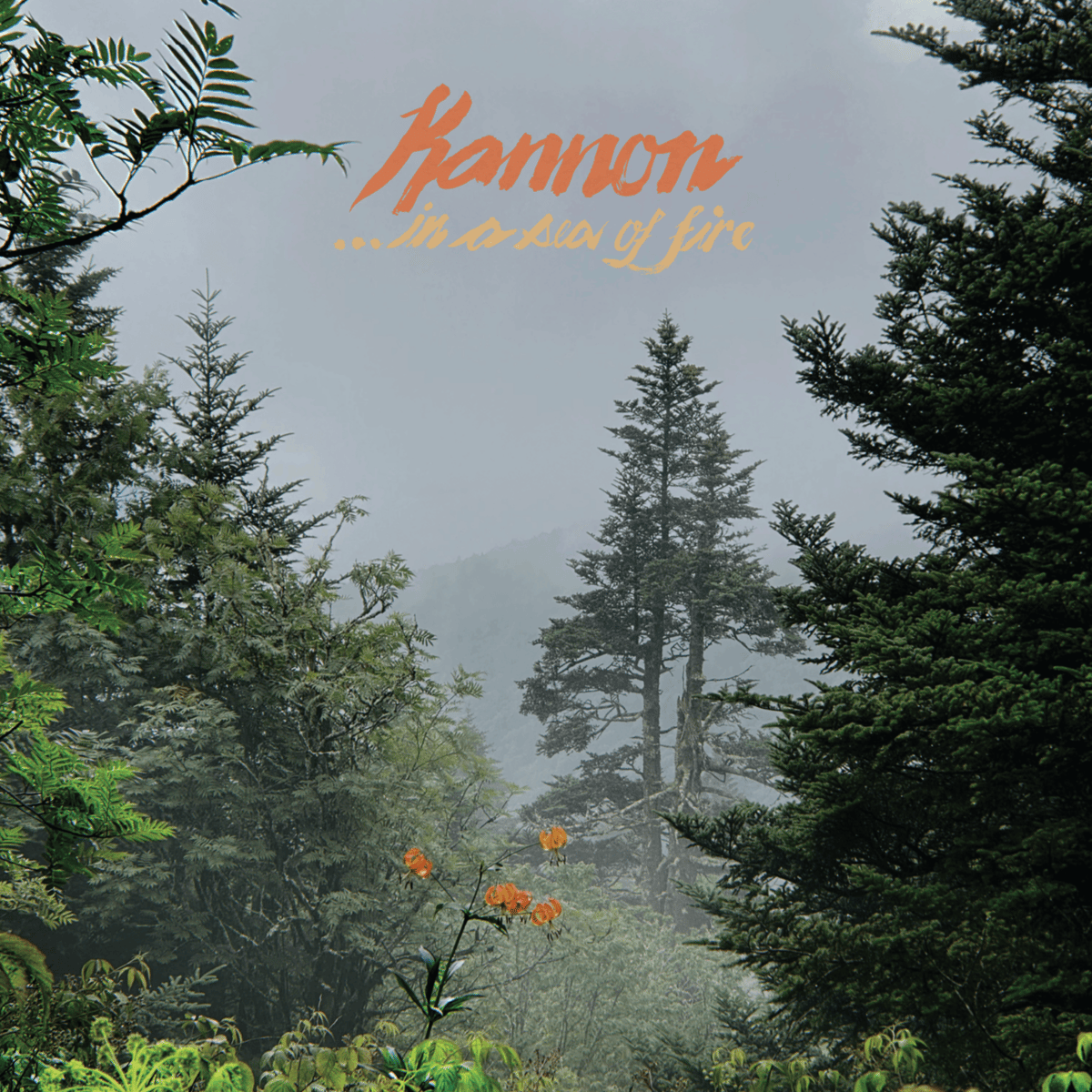 ...in a sea of fire · Kannon