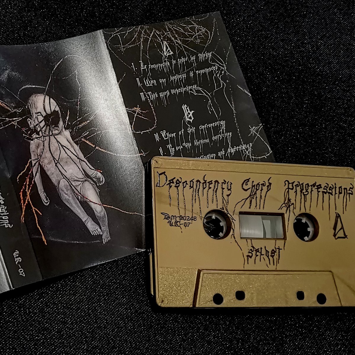 SELBST "Despondency Chord Progressions" · Unpleasant Records