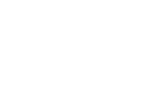 Canid
