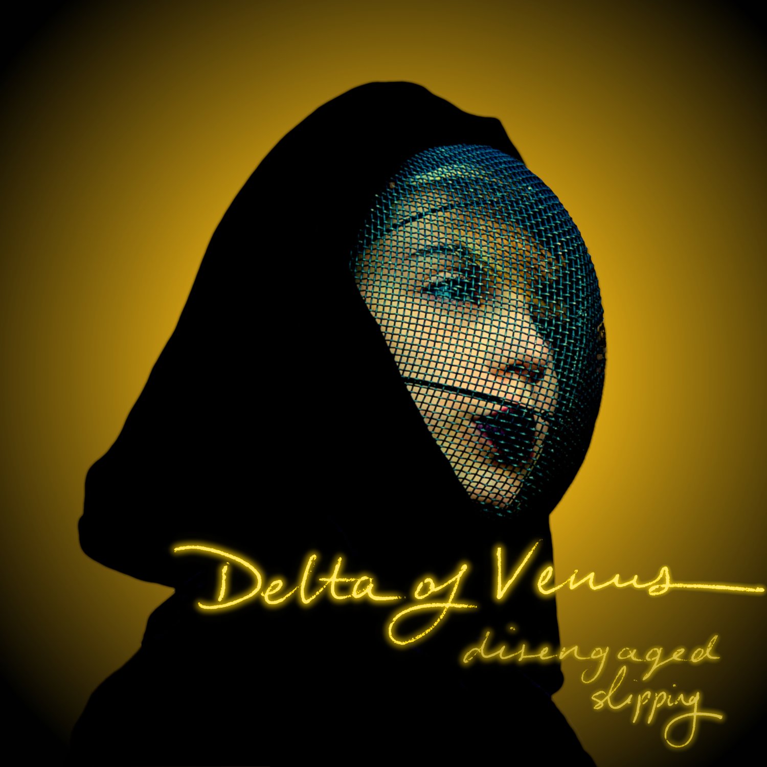 Delta of Venus