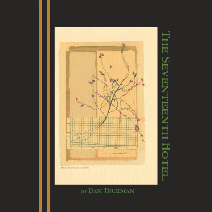 The Seventeenth Hotel · Dan Trueman