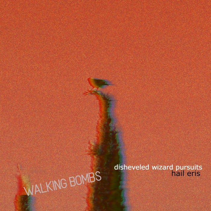 Disheveled Wizard Pursuits (Hail Eris) · Walking Bombs