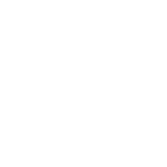 Voodoo Lady · Moonshine Brigade